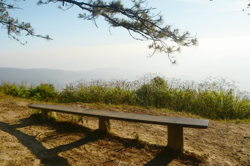 Relax place stock image. Image of park, path, roots, forest - 49591483