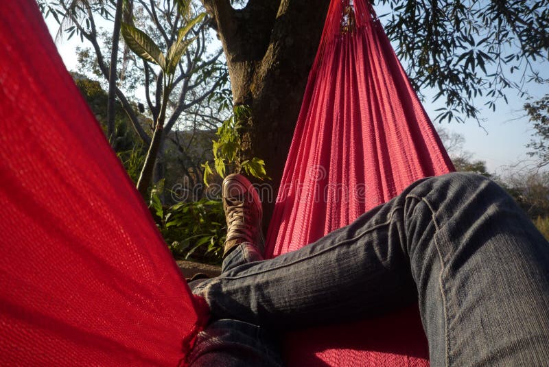 Relax stock photo. Image of tree, mango, relax, relaxing - 82565218