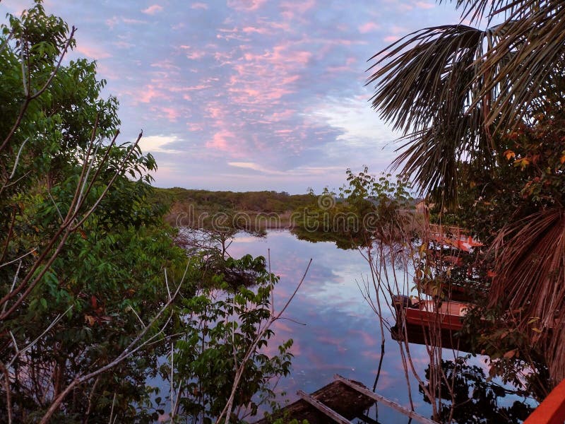 Relax on the Rio Negro of the Amazon Rainforest Stock Photo - Image of ...