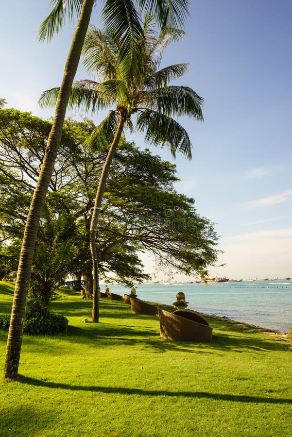 Relax at seaside stock photo. Image of chair, coast, exotic - 39801018