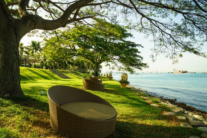 Relax at seaside stock photo. Image of exotic, grass - 39801818