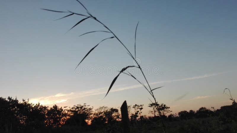 Relaxing sky editorial photo. Image of sunset, beautiful - 84033911