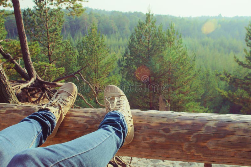 Relax in a summer wood stock image. Image of beatiful - 60501091