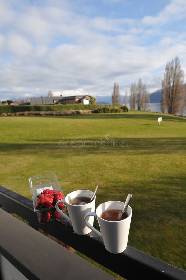 Relax with Tea stock image. Image of stream, freeze, nature - 60653683