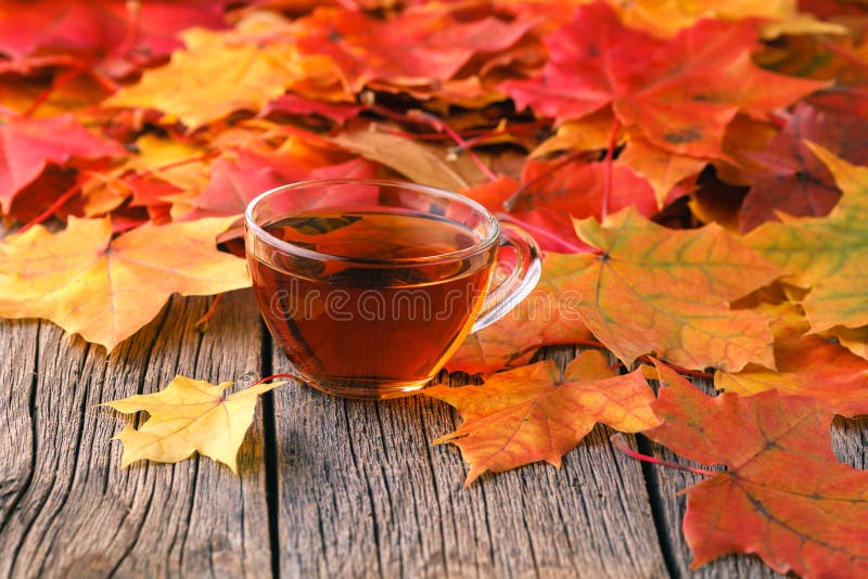 Relax Time in Fall Season. Red Maple Leaf on Table Stock Image - Image ...