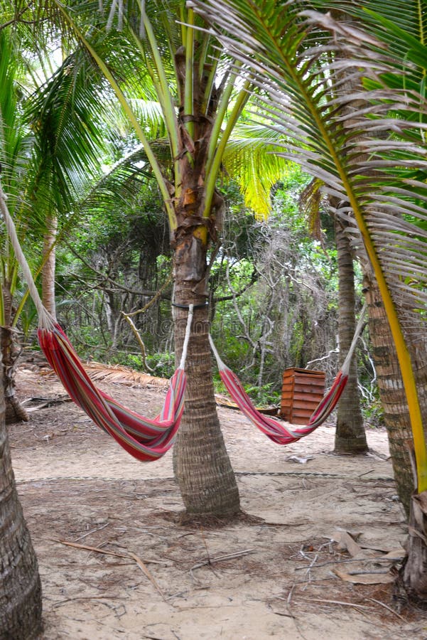 Relax stock image. Image of palm, landscape, relaxation - 153936989