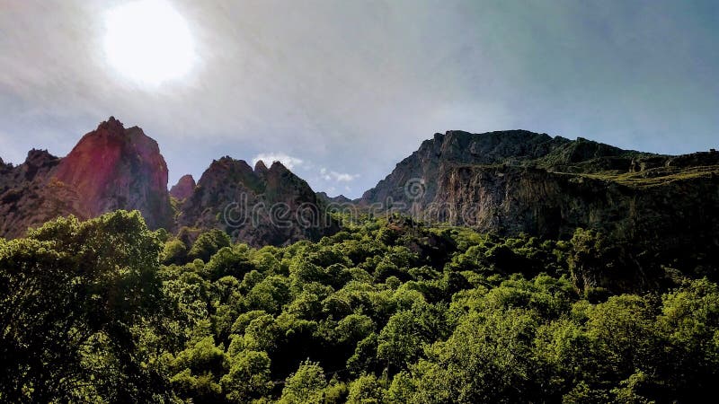 Relax stock image. Image of relax, enjoying, tranquility - 96517663