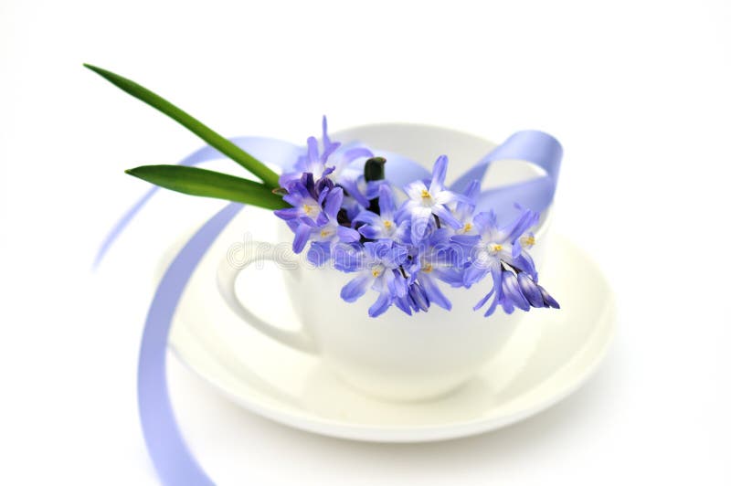 Relaxation and Harmony stock photo. Image of snow, green - 13578360