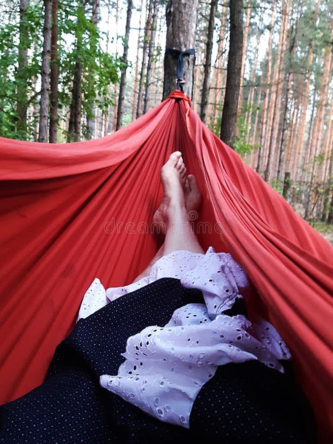 Relaxation in nature stock image. Image of pine, quiet - 199113567