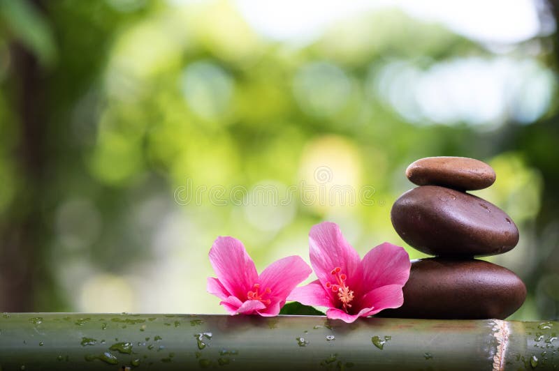 Relaxation with Pink Hibiscus Flowers on Bokeh Nature Surface Stock ...