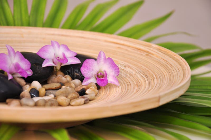 Relaxation stock image. Image of rest, pebble, timber - 48799559