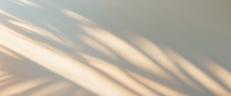 Relaxation in Sunlight with Soft Shadows on a Calm Afternoon Stock ...