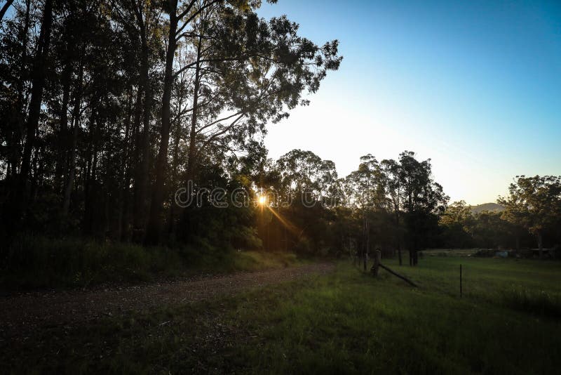 Relaxed Country Lane in the Bush at Sunset Stock Photo - Image of path ...