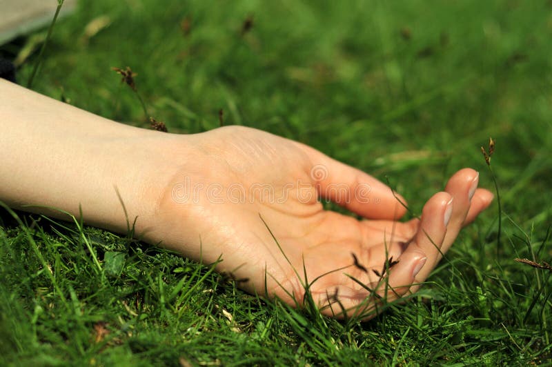 Relaxed Hand Stock Images - Image: 4890314