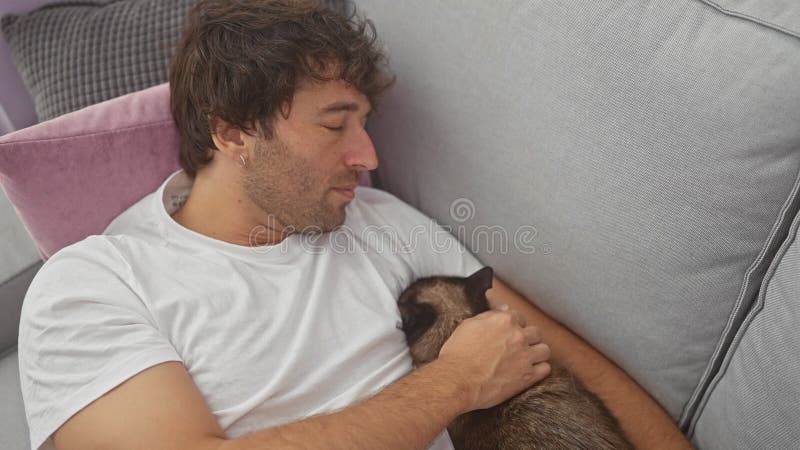 A Relaxed Man Cuddling with His Siamese Cat on a Couch at Home Stock ...