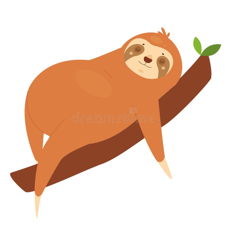 Relaxed Sloth Sleeping on Tree Stock Vector - Illustration of tropical ...