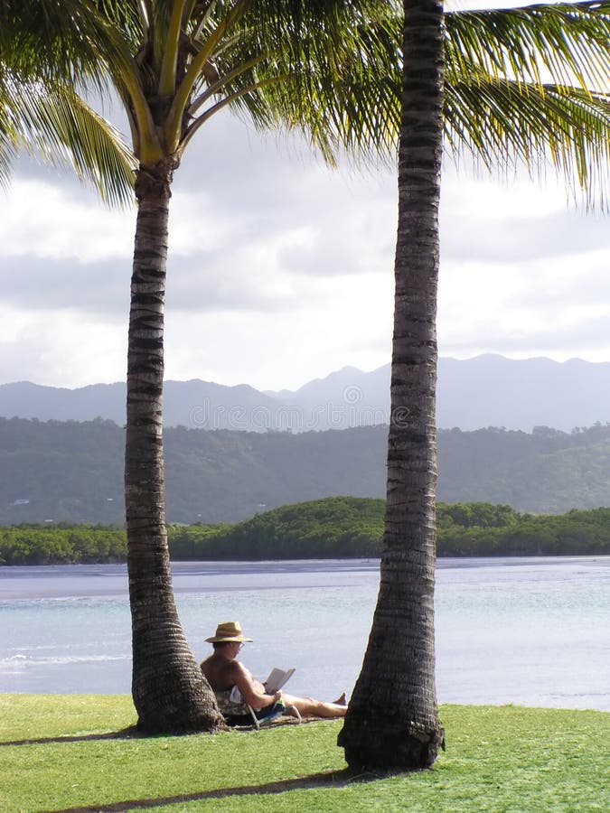 Relaxing stock photo. Image of reading, ocean, summer, palm - 21508