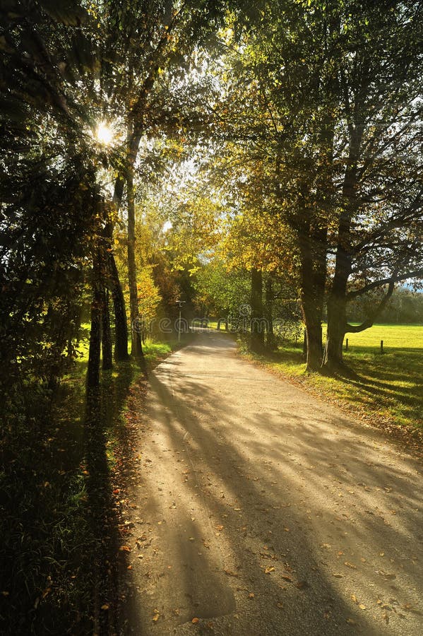 Relaxing Atmosphere in the Park in the Morning Stock Image - Image of ...