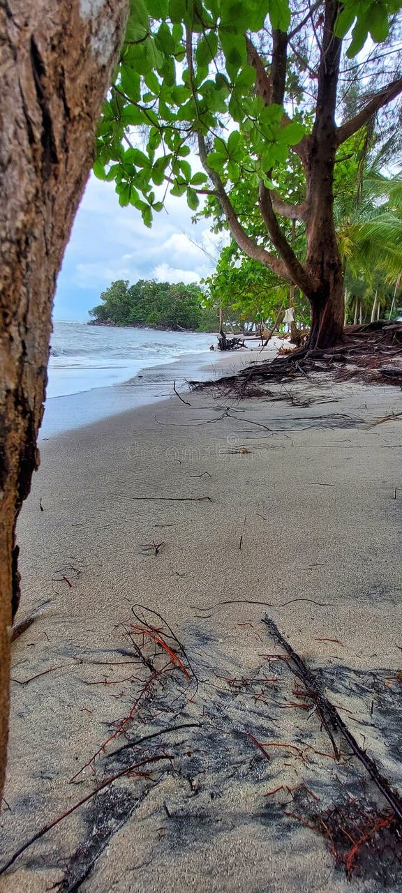 Best escaping beach stock image. Image of tropicalbeach - 313038695