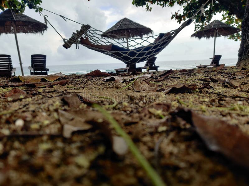Relaxing Beachside Swing Stock Photos - Free & Royalty-Free Stock ...