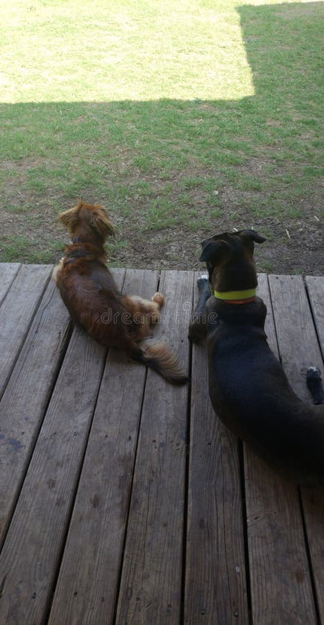 Relaxing on this Cool Day Today .. Stock Image - Image of cool, today ...