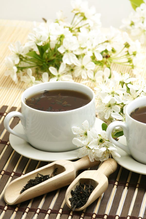 Relaxing cup of tea stock image. Image of aromatherapy - 750243