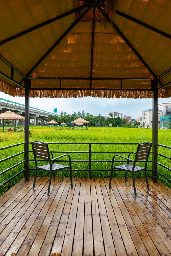 Relaxing Gazebo Next To a Rice Paddy Field after the Rain at Vertical ...