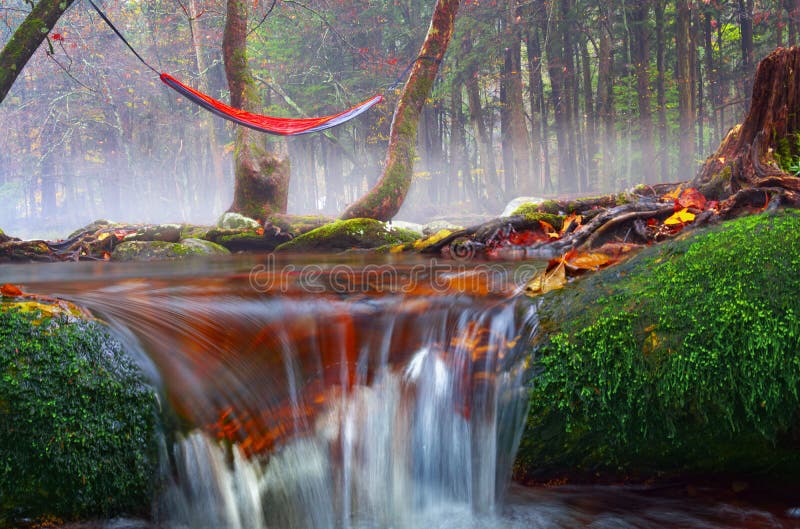 Relaxing Hammock Camping Scene by Stream in Forest Stock Photo - Image ...