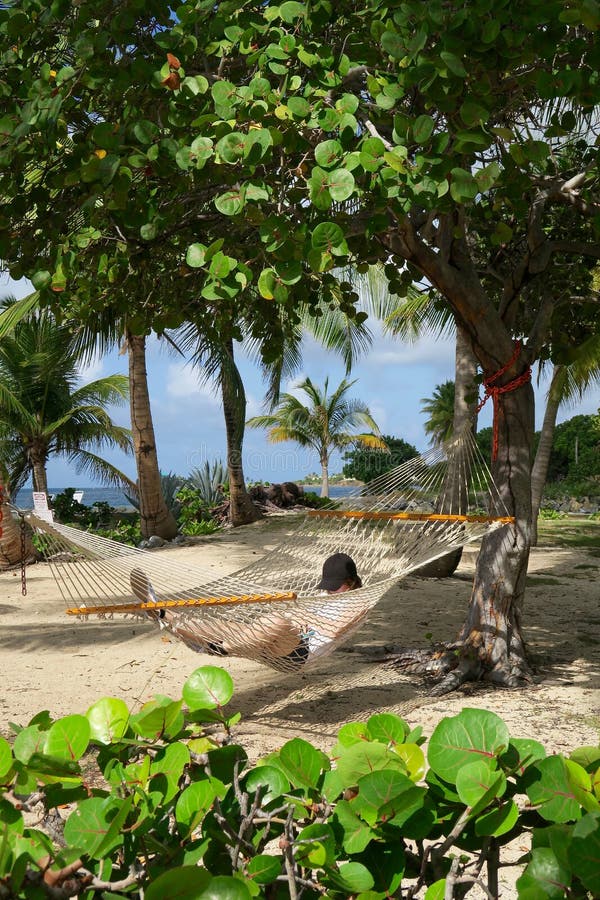 Woman Sleeping Under Palm Tree Stock Photos - Free & Royalty-Free Stock ...
