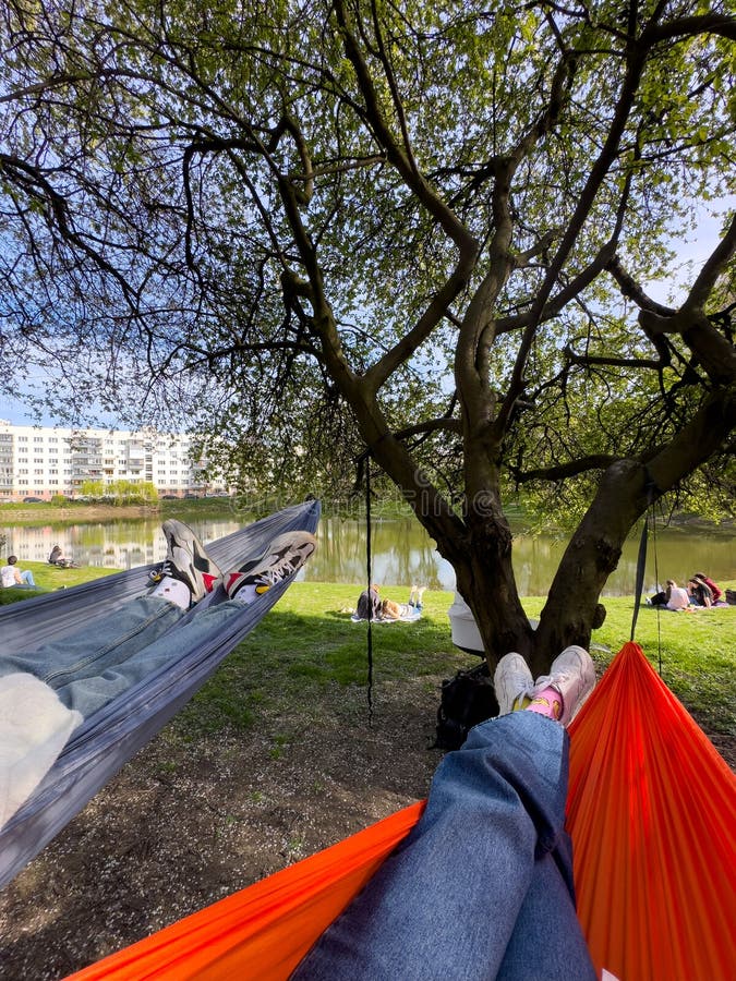 Relaxing in Hammocks by the Lake Stock Image - Image of chill, casual ...