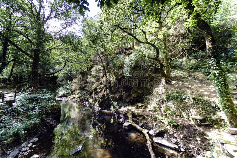 Relaxing Image of a Small Mountain River Called Anllons with Very Calm ...