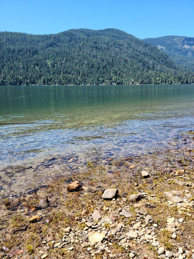 Relaxing by the Lake in the Summer Hot Outside Stock Image - Image of ...