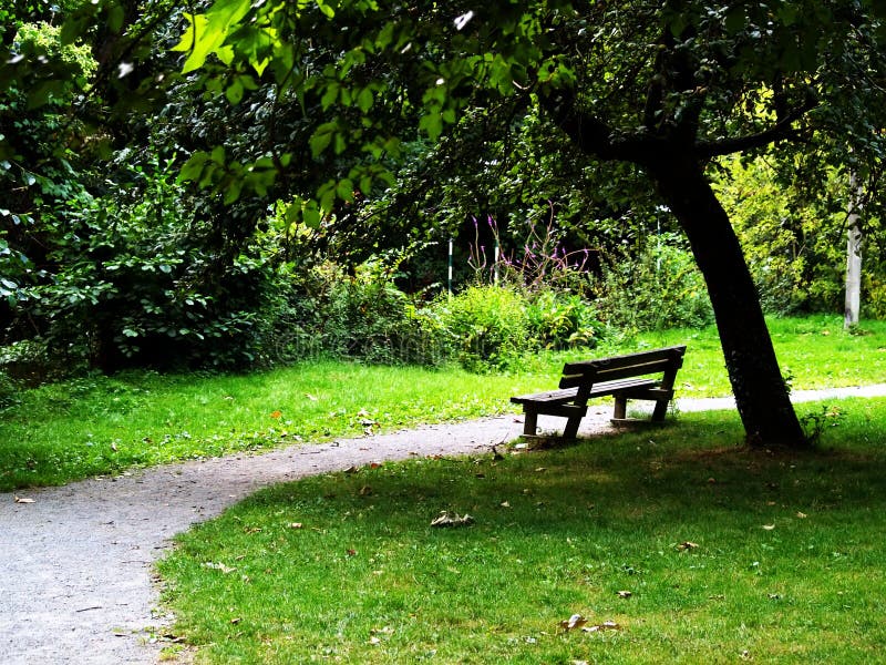 Relaxing in the park stock photo. Image of rest, relax - 1192632