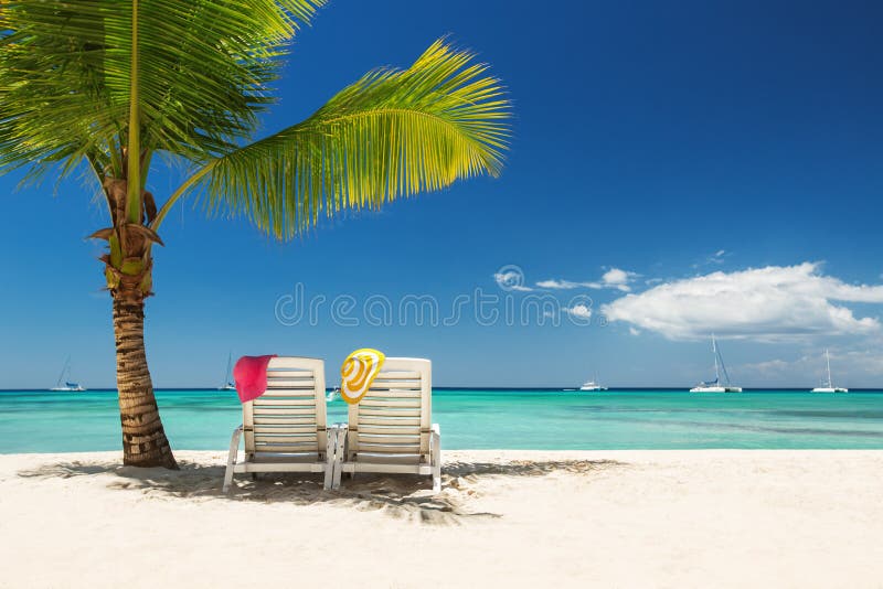 Relaxing on Remote Tropical Beach Stock Photo - Image of palm, resort ...