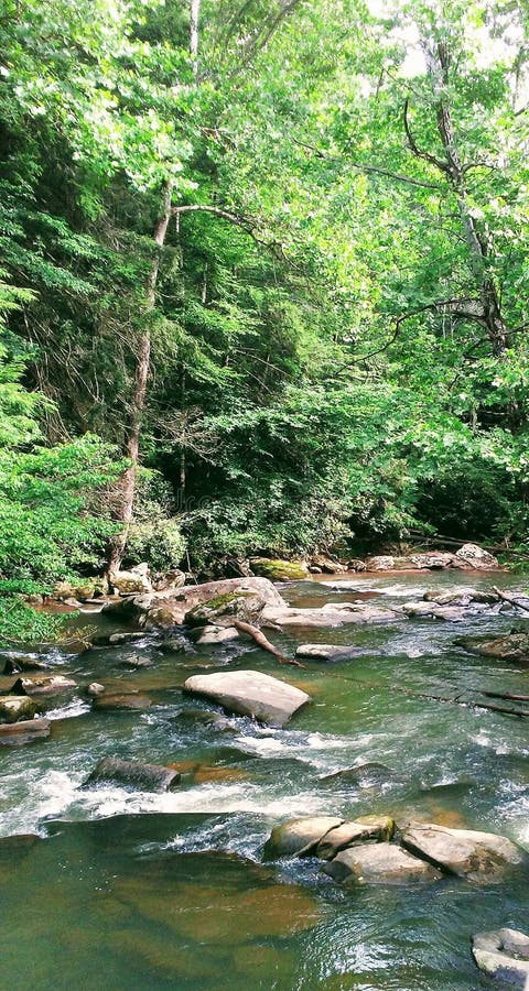 Relaxing river flows stock photo. Image of tributary - 97863966