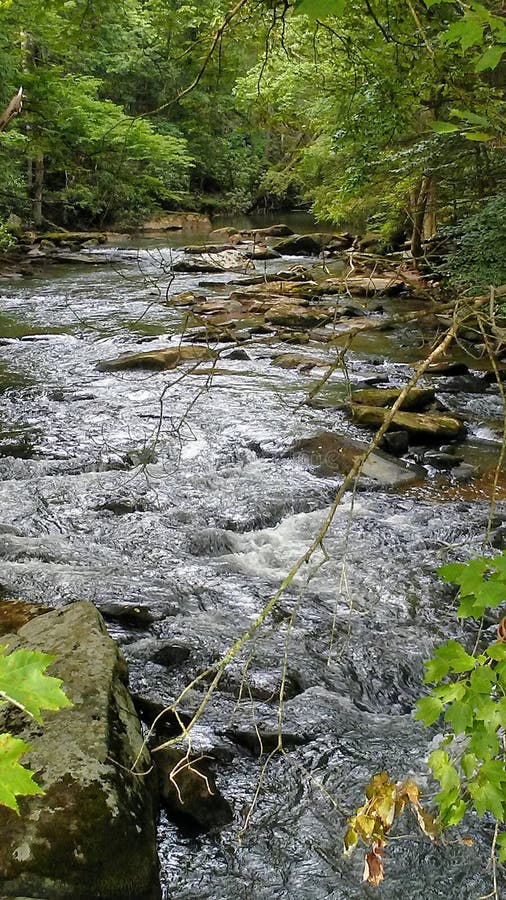 Relaxing river flows stock image. Image of forest, landscape - 97864027