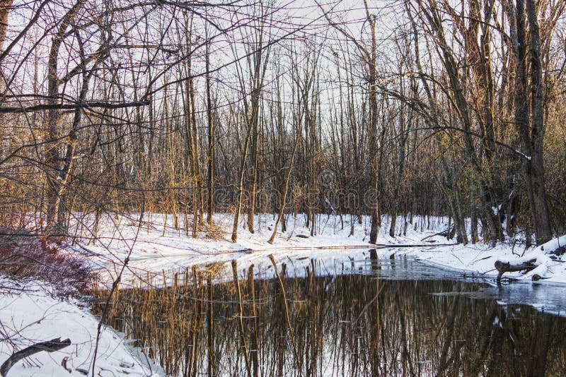 A Relaxing Scene in a Wooded Area after the First Snow, Bordering a ...