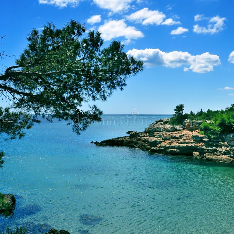 43,220 Relaxing Scenery Photos - Free & Royalty-Free Stock Photos from ...