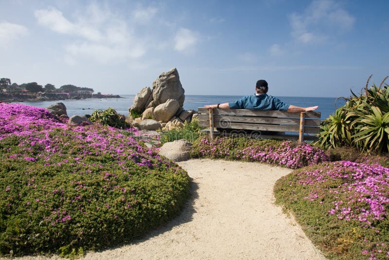 Relaxing at the Seaside stock image. Image of ocean, arms - 4018611