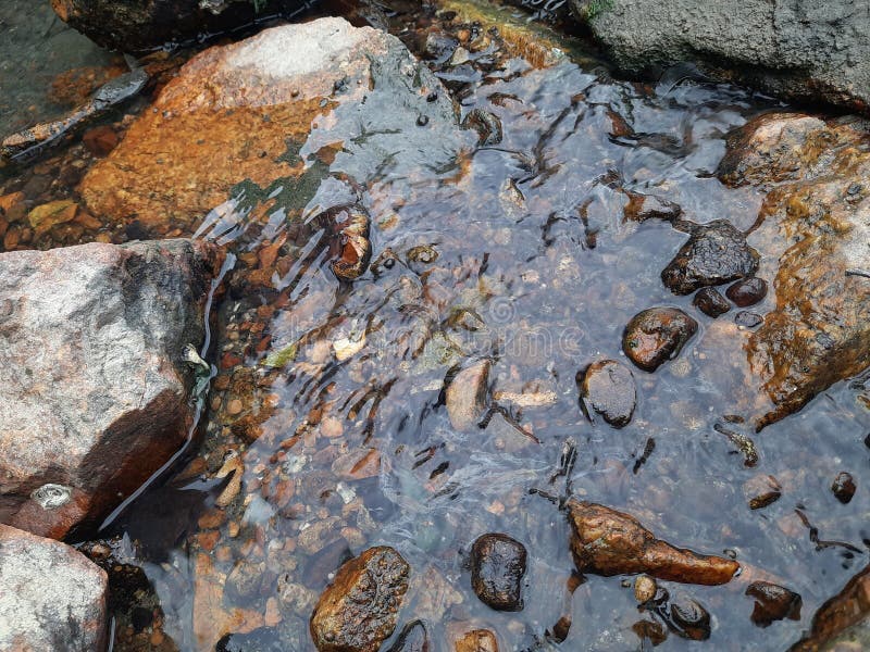 Relaxing Sound of Water Stream in the River Stock Image - Image of ...