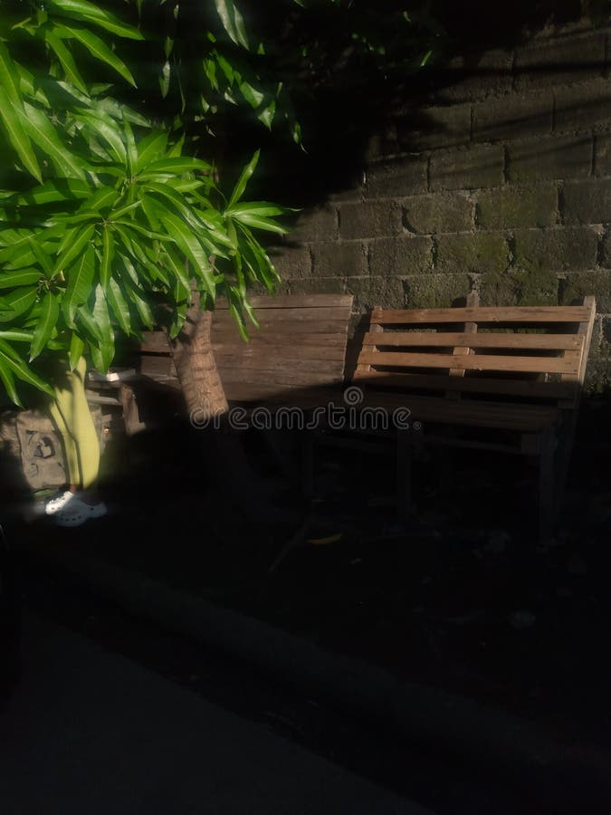 Relaxing space on the tree stock photo. Image of backyard - 248387828