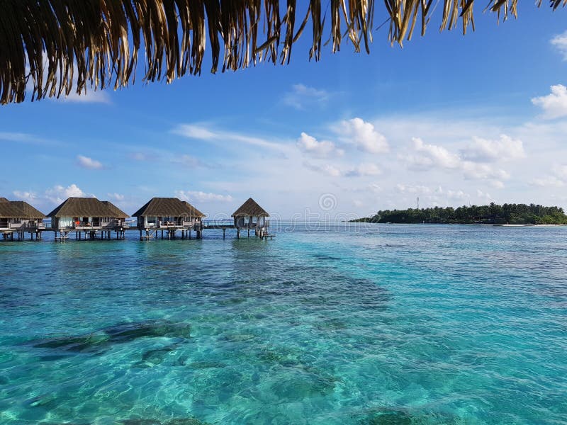 Relaxing time stock image. Image of relaxing, freedom - 130870139