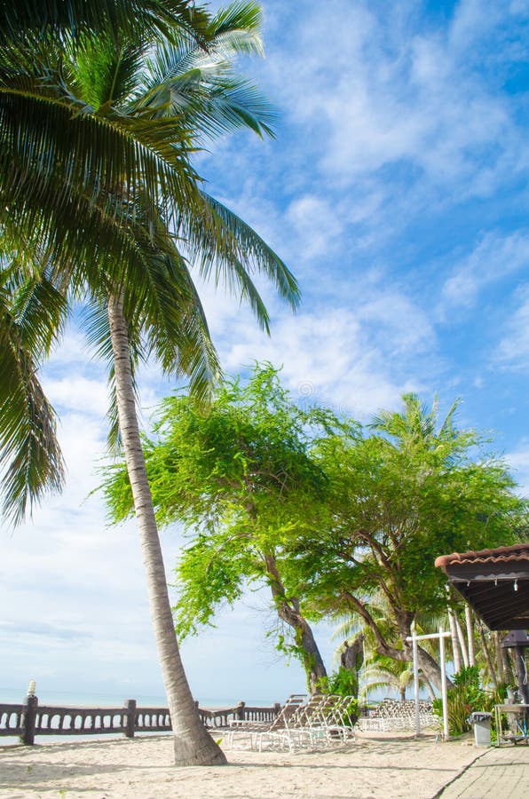 Relaxing Time on the Vacation Day. Stock Photo - Image of holiday ...