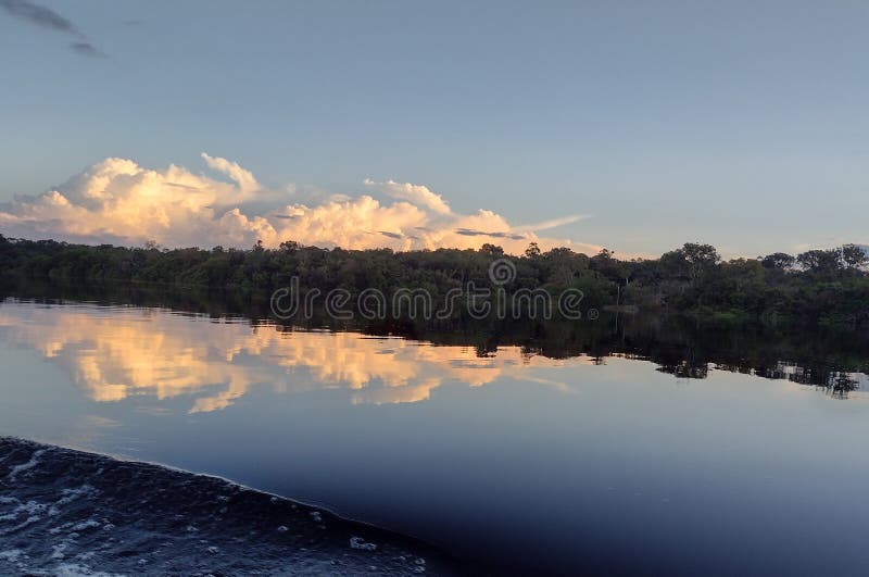Relaxing at Sunset in the Rainforest of the Amazon Jungle Stock Image ...