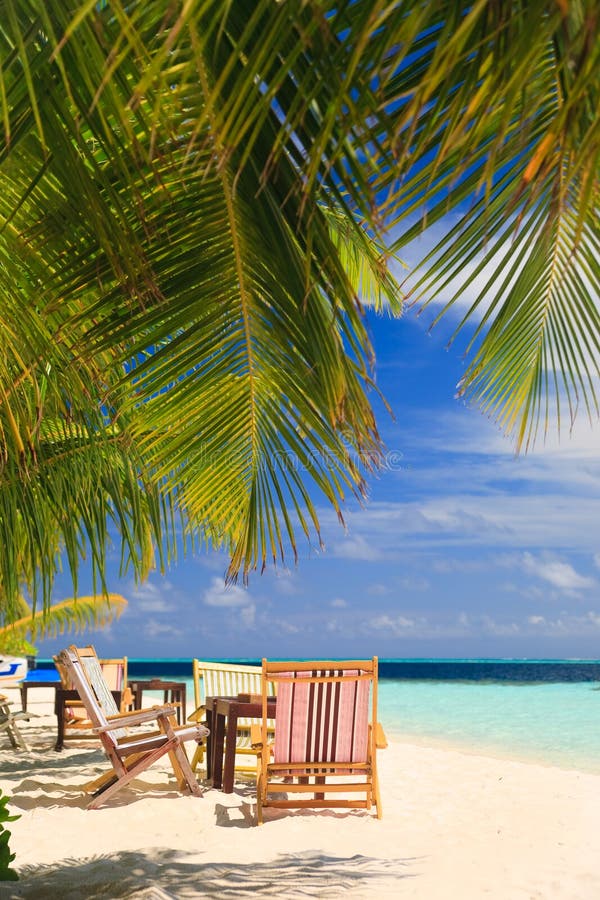 Relaxing on Tropical Paradise Stock Photo - Image of enjoyment ...