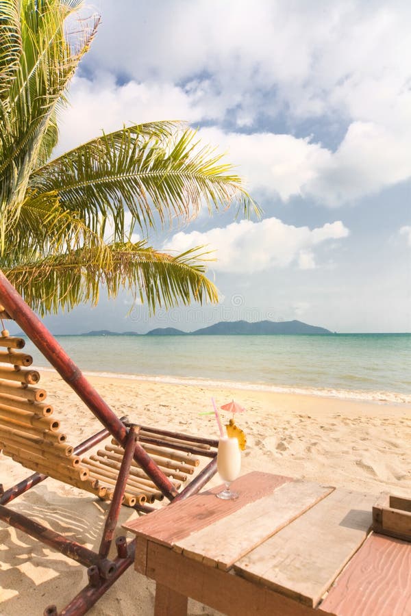 Relaxing Under a Palm Trees on Loneliness Beach Stock Photo - Image of ...