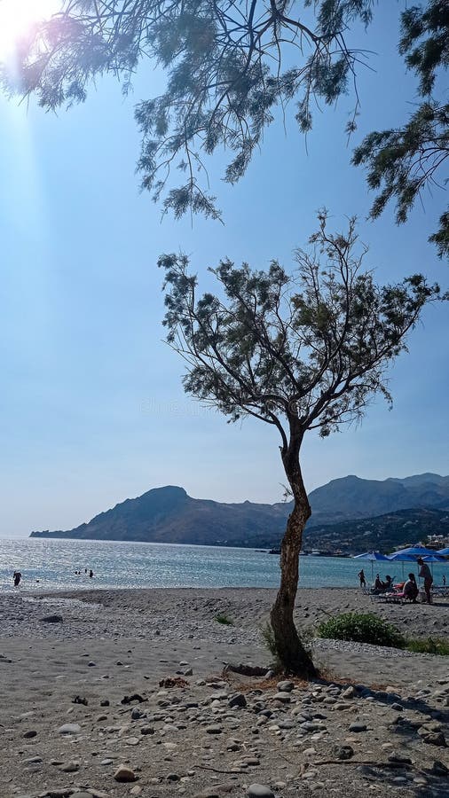 Relaxing Under a Tree in Plakias Beach in South Rethymno, Crete, Greece ...