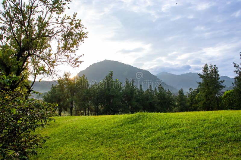 A Relaxing View of Mountain, Grass and Trees Stock Image - Image of ...