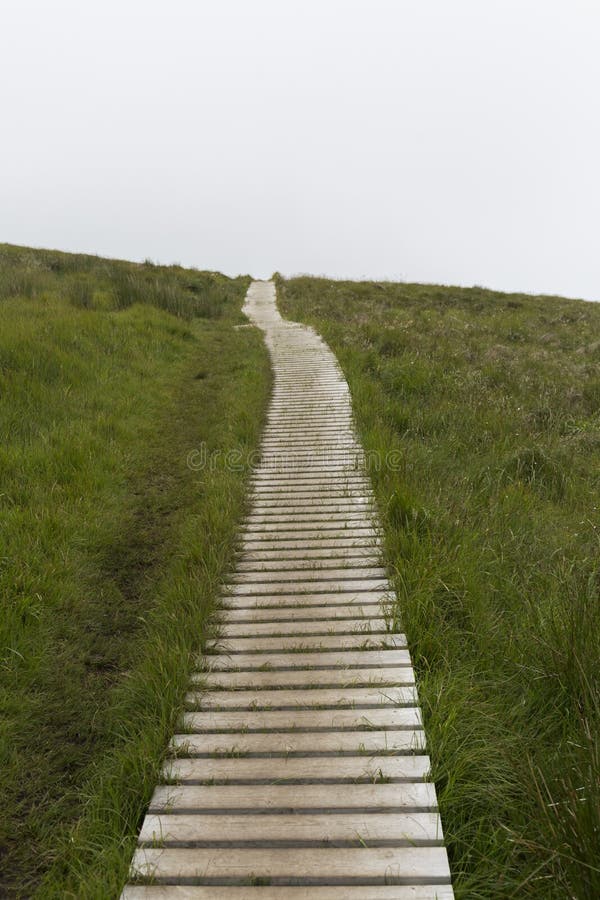 Relaxing walk stock photo. Image of natural, lawn, area - 176480256