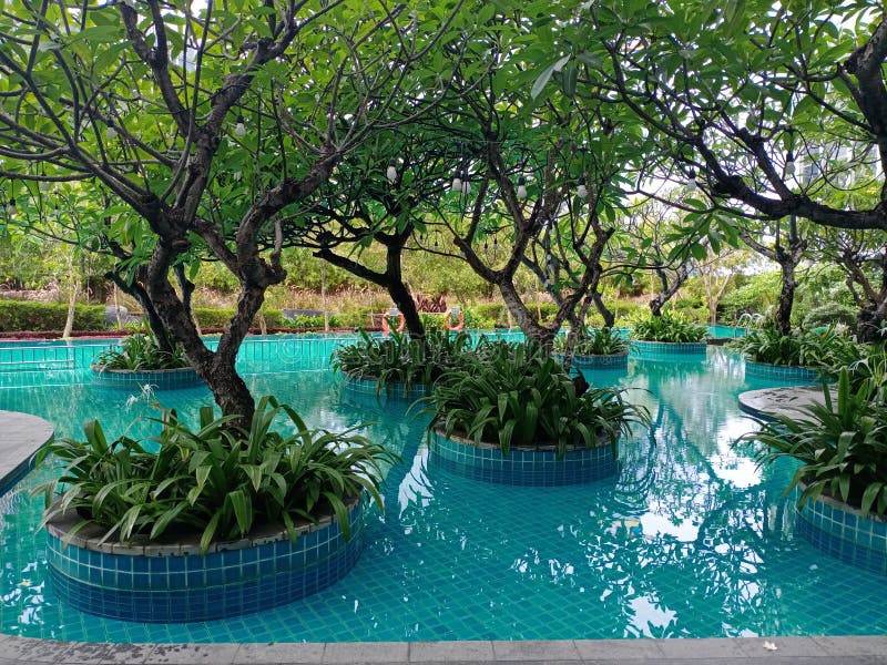 Relaxing among the Water and Trees Makes the Body and Mind Calm, New ...